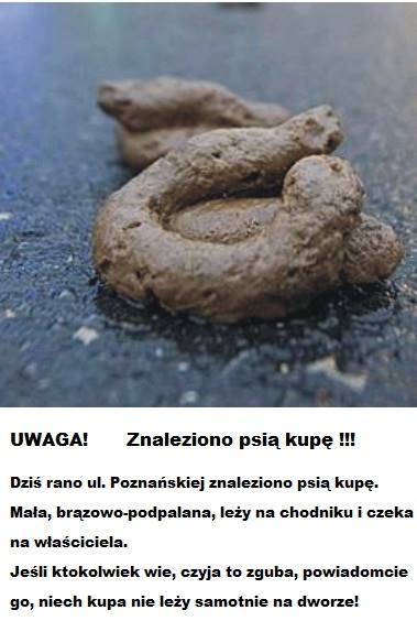 ekomania czyli czemu tak, a nie inaczej: Psie kupy po raz ósmy