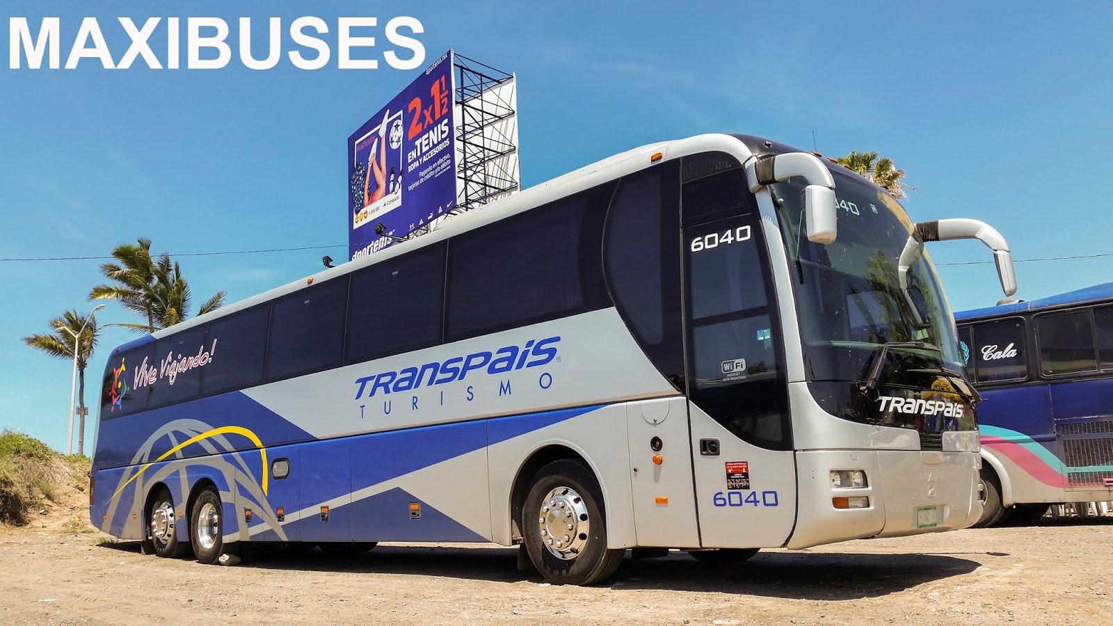 MAXIBUSES: TRANSPAÍS TURISMO (TURISMO)