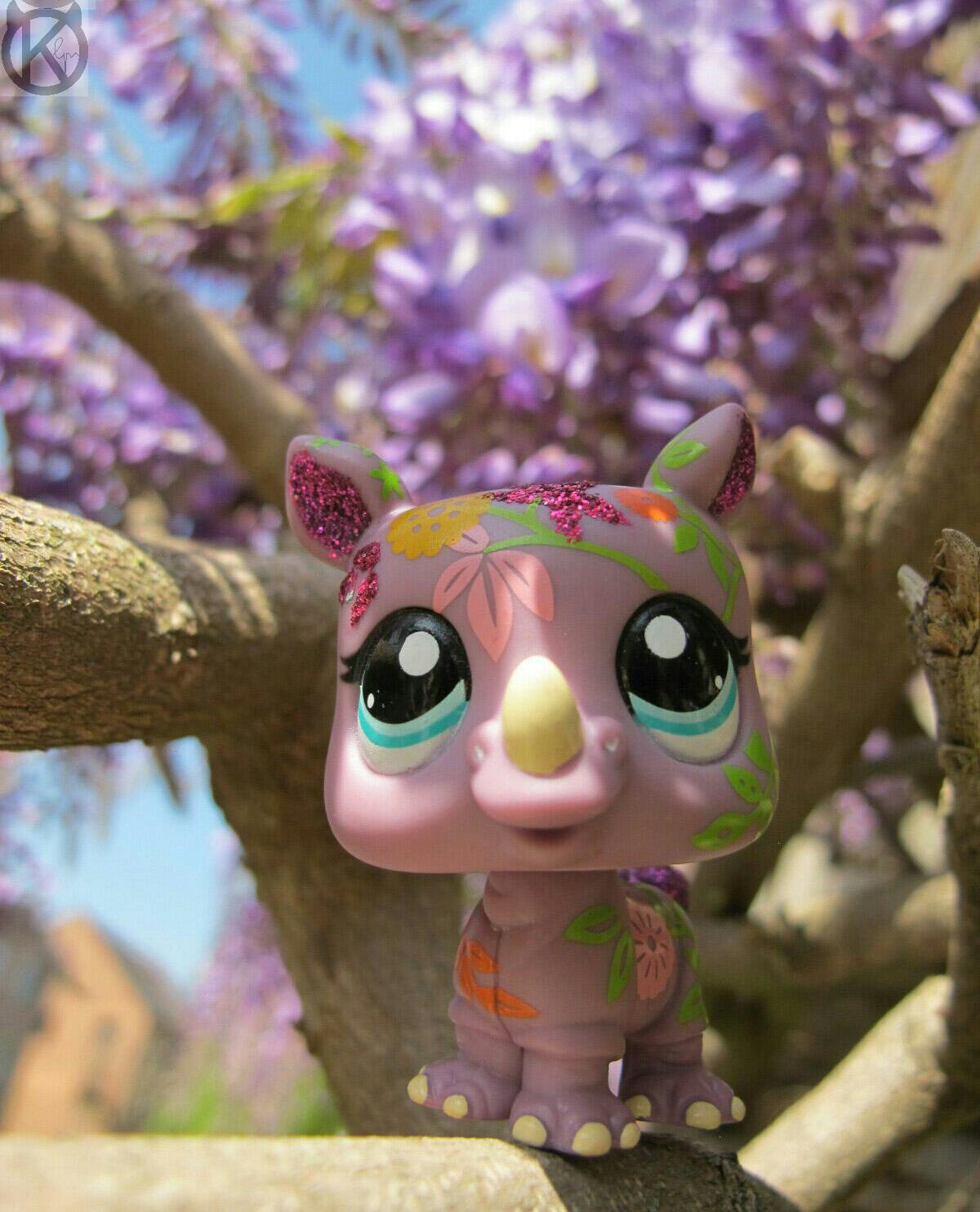 Lps Kachou: LPS dans la nature
