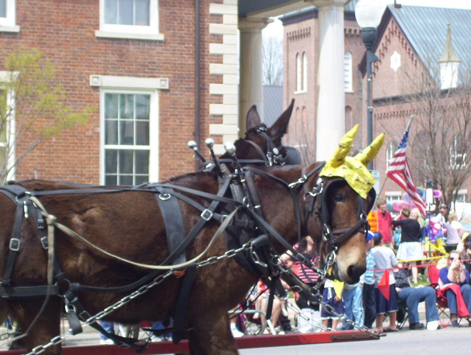 The Art of Positive Living: Mule Day, Revisited