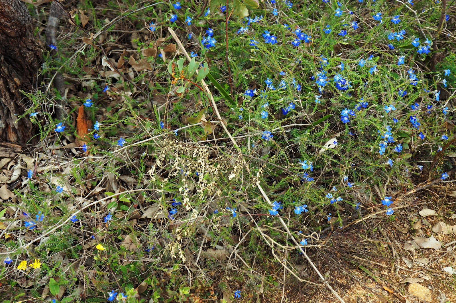 Baldwin's Bluff (Serpentine National Park) ~ The Long Way's Better