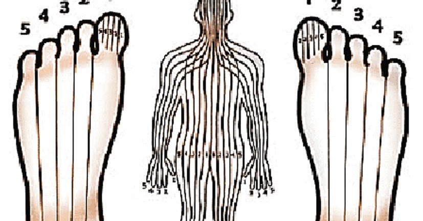 Pijat Refleksi Di Ciledug: Terapi Zona Pijat Refleksi, Zona Longitudinal