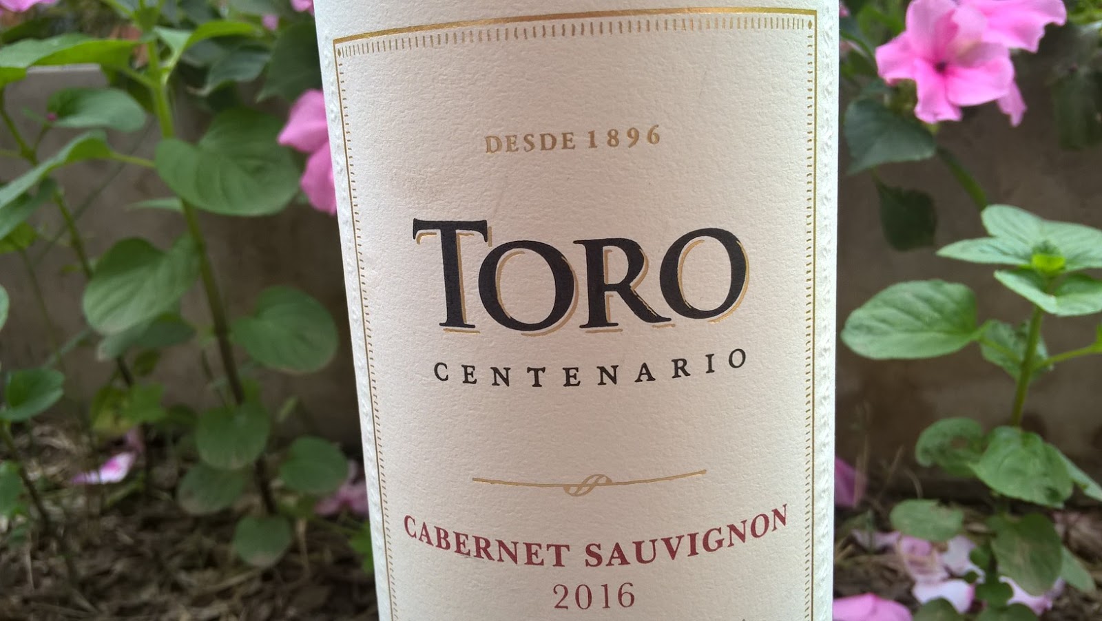 Vinos de Super. Toro Centenario.