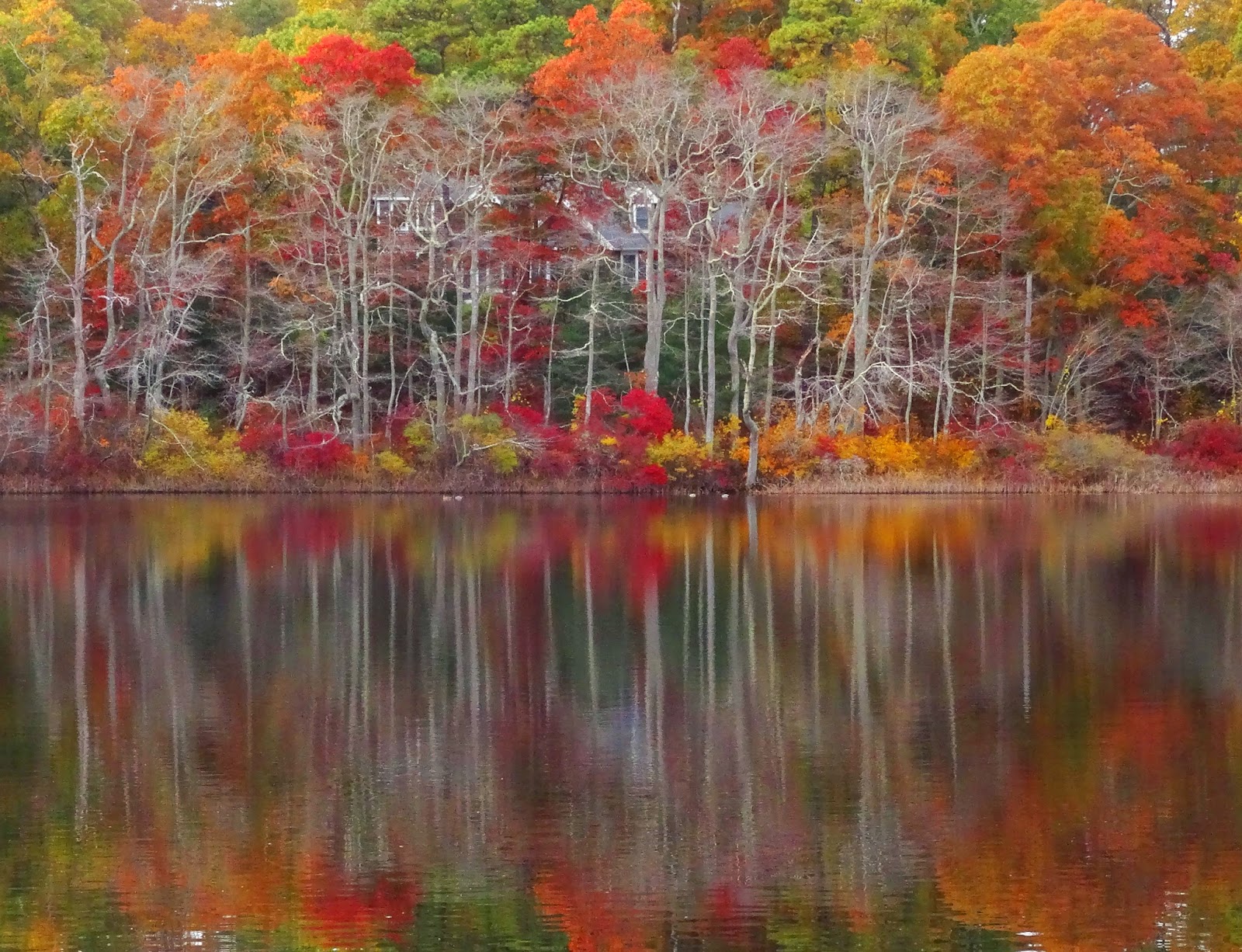 Joe's Retirement Blog: Rabbit Pond, Manomet, Plymouth, Massachusetts, USA