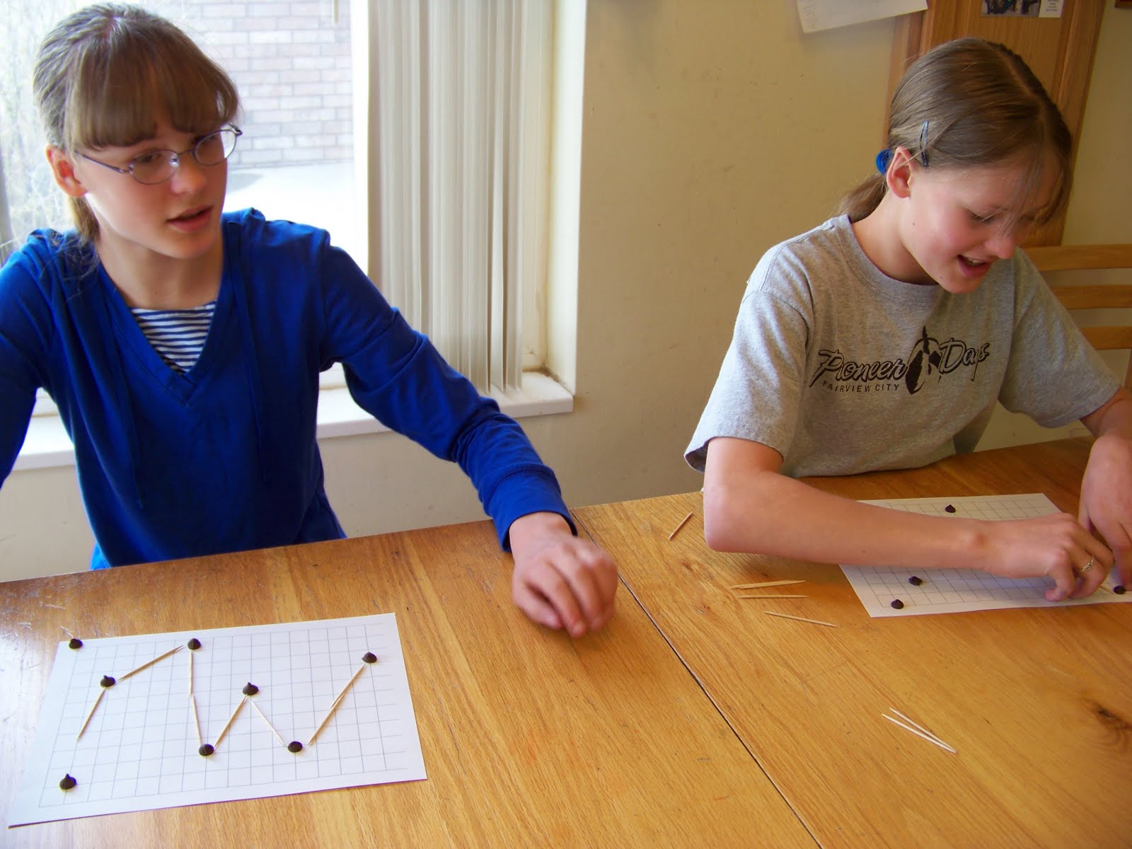 Our Fun Homeschool: Hands-On Graphs and Plots