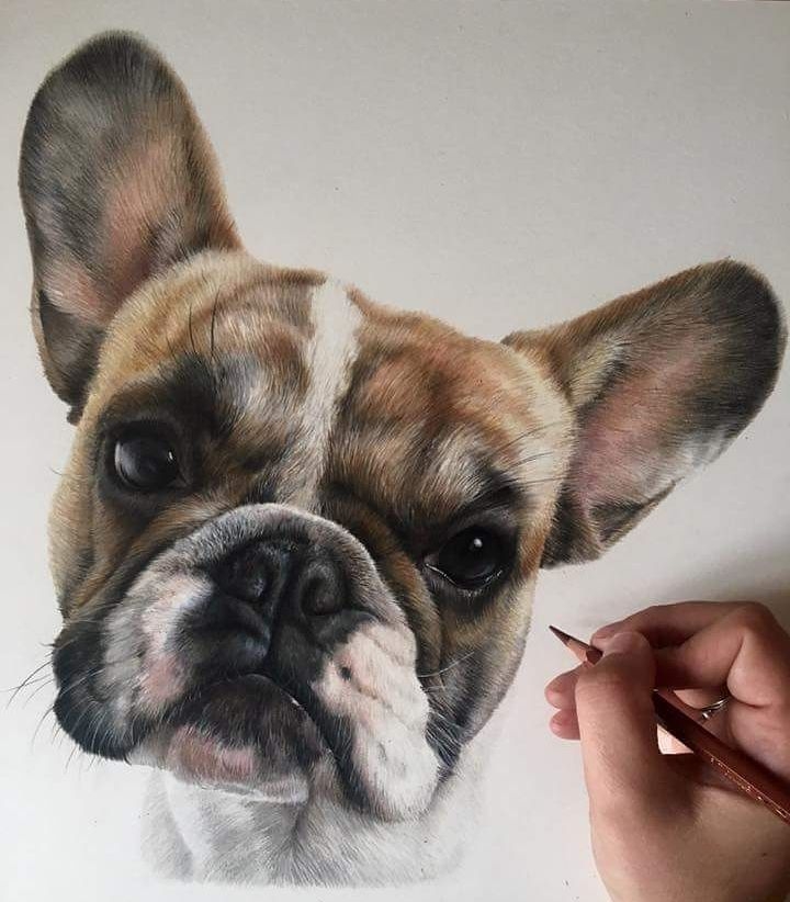 Design Stack: A Blog about Art, Design and Architecture: Colored ...