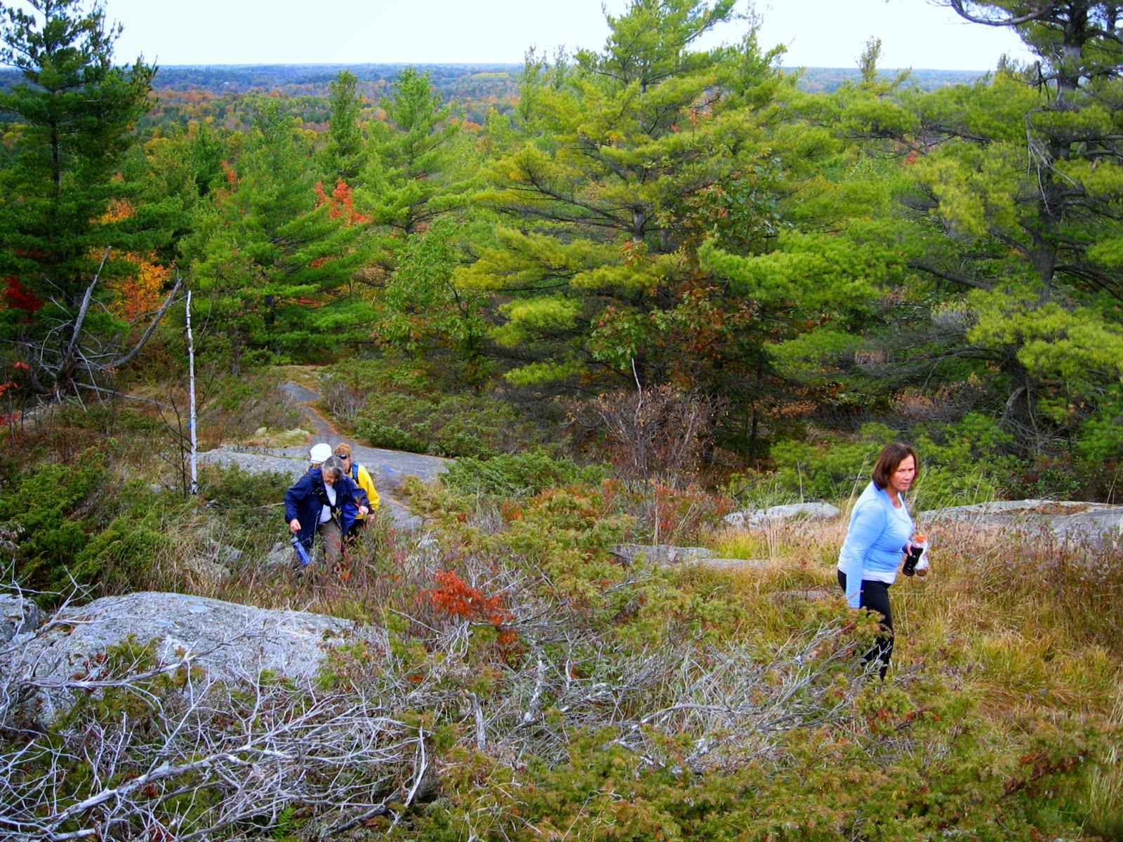 Birding-Kayaking-Babbling: Thanksgiving Paddle and Hike to Rock Dunder