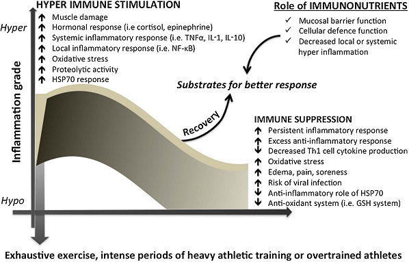 The A to Z of Effective & Less Effective Immuno-Nutrients to Prevent ...