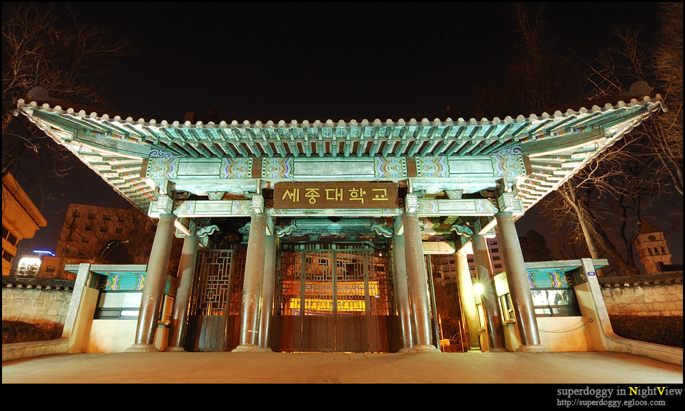 Learning Korean at Sejong University: Get to Know Center for ...