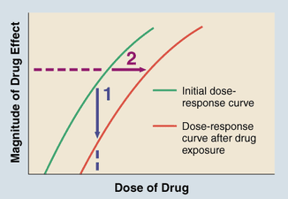 Everything, according to me: "Dude!" What does mine say?" Chester