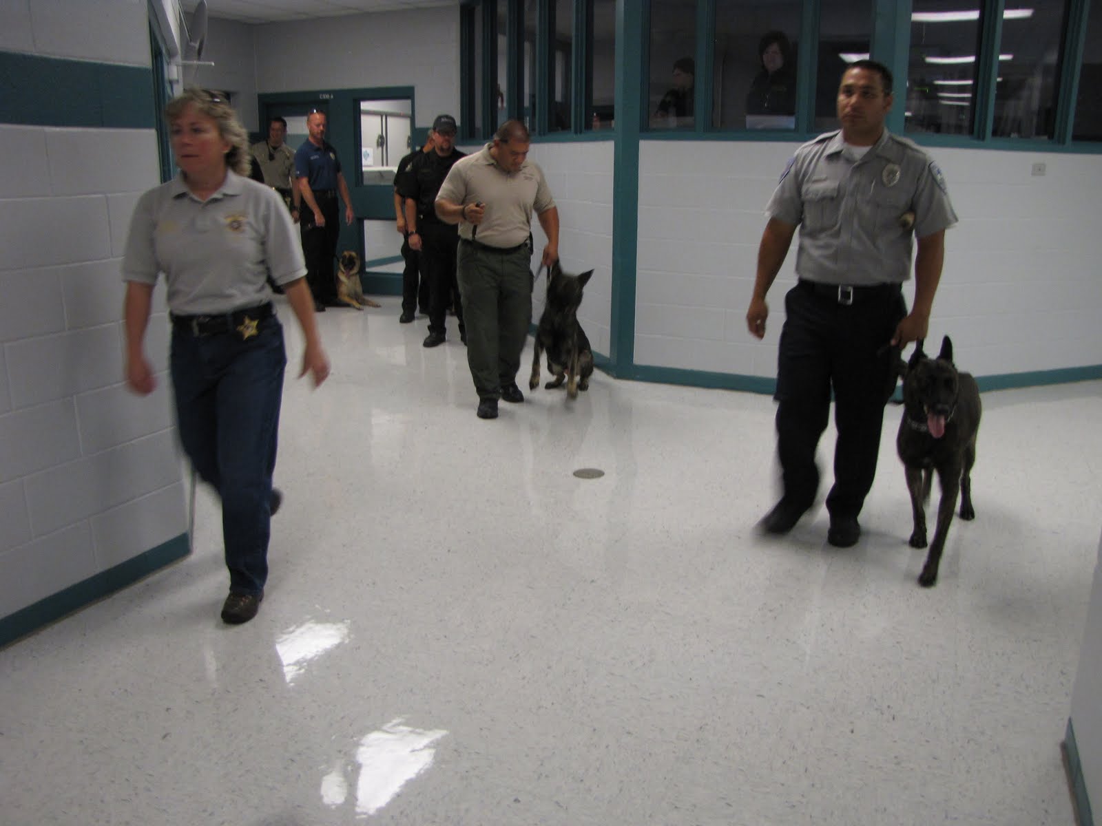 Davis County Sheriff's Office: POST K9 Narcotics Training Yields Drug Bust