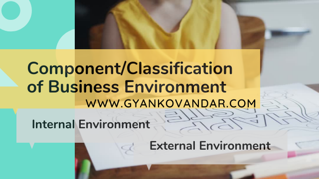 Component or Classification of Business Environment - Gyanko Vandar