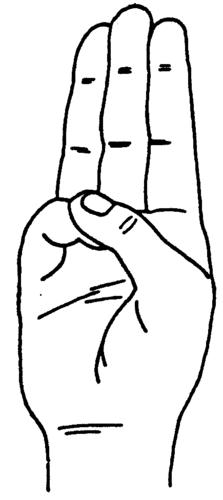 MANADA NATHOO: SALUDO SCOUT