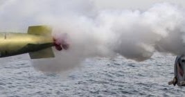 Explained: What Are MK 54 Torpedoes, Agm-84L Harpoon Missiles US Has ...