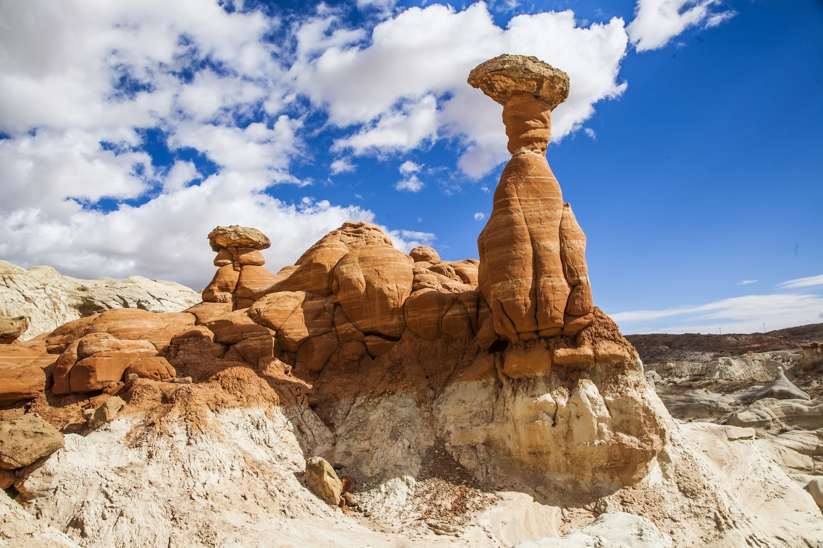 Walking Arizona: Toadstool