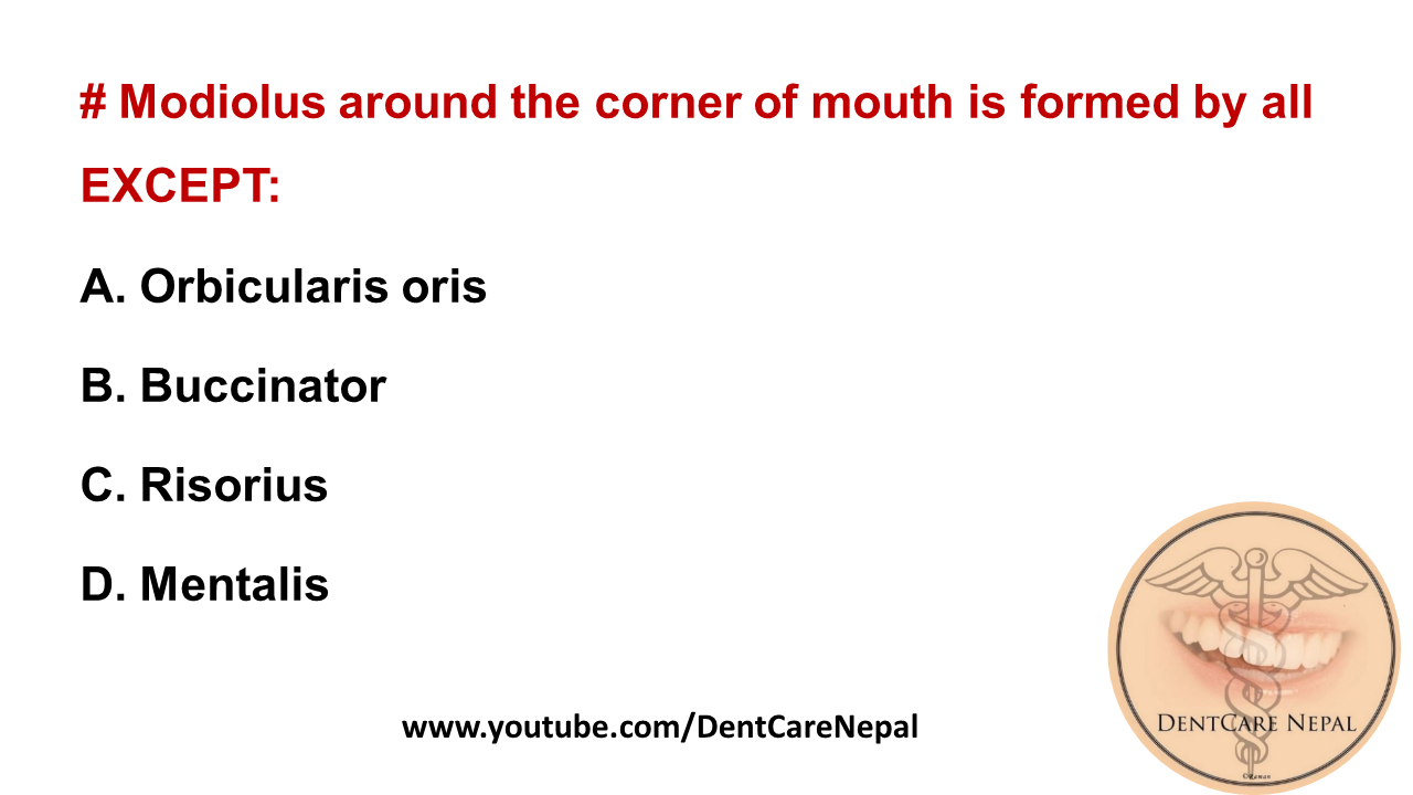 Dentosphere : World of Dentistry: Modiolus around the corner of mouth ...