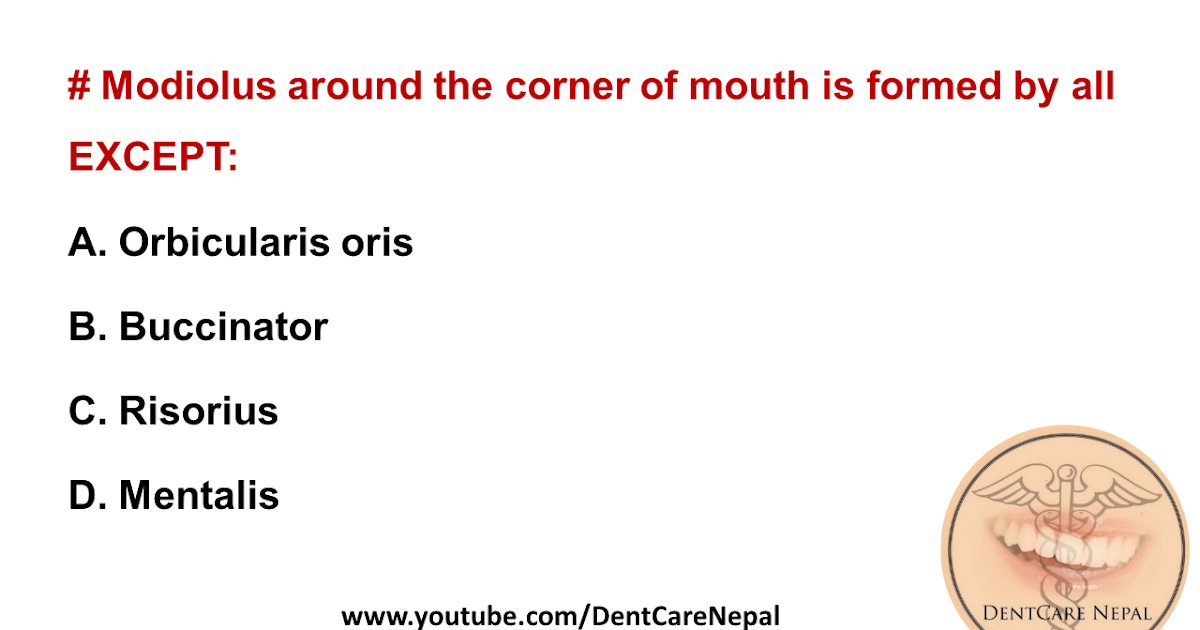 Dentosphere : World of Dentistry: Modiolus around the corner of mouth ...
