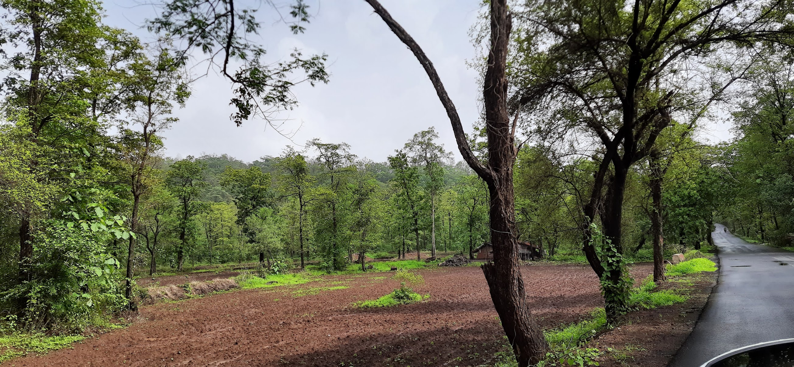 Sharad Pandhare's Educational Blog: Incredible Nature