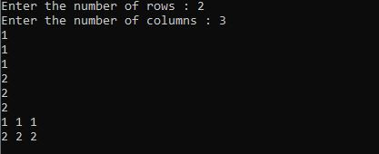 Matrix input in python