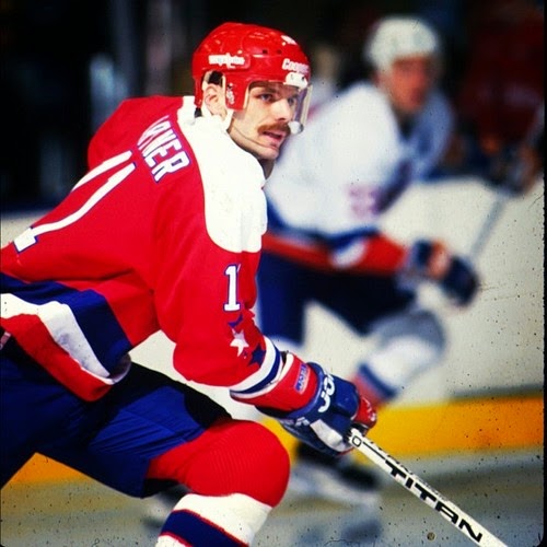 History and Stuff: 7 Fascinating Facts About Mike Gartner: National ...