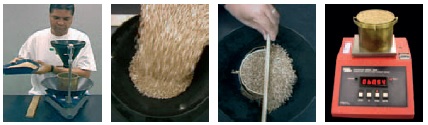 Wheat Evaluation Process – Wheat Evaluation For Grade