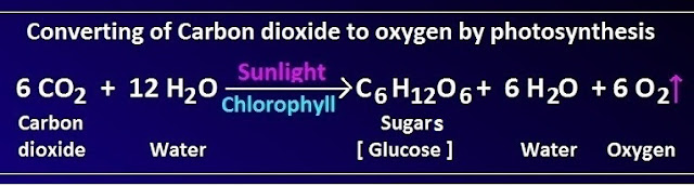 What is the simplest way for converting CO2 to O2? - PG.CHEMEASY