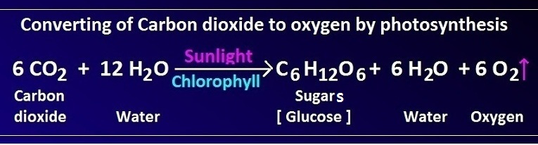 What is the simplest way for converting CO2 to O2? - PG.CHEMEASY