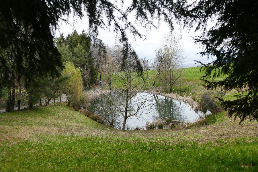 4 passeggiate facili da fare sul Montello - Montagna di Viaggi