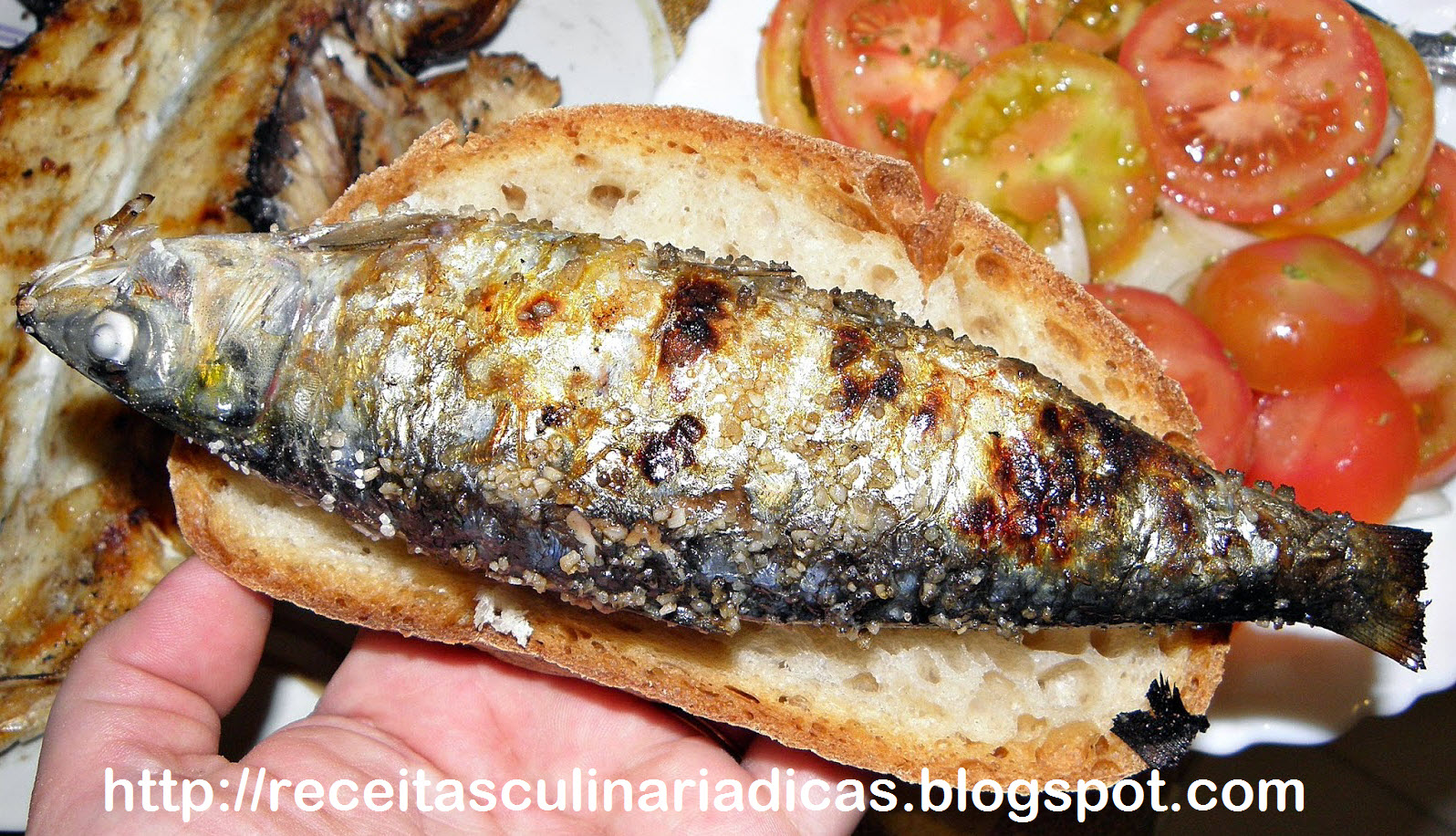 Culinária Receitas & Dicas: SARDINHA ASSADA
