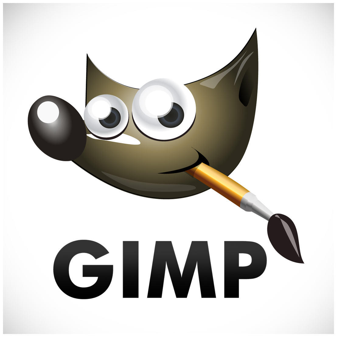 Fungsi Aplikasi GIMP Introduction To Computer fungsi-aplikasi-gimp-introduction-to-computer