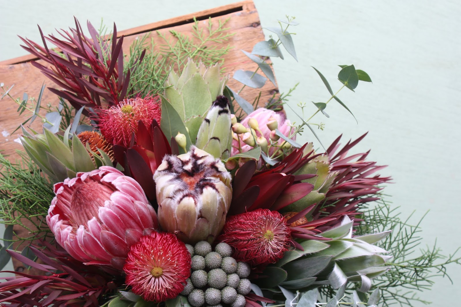 Pink Mink Protea Arrangements