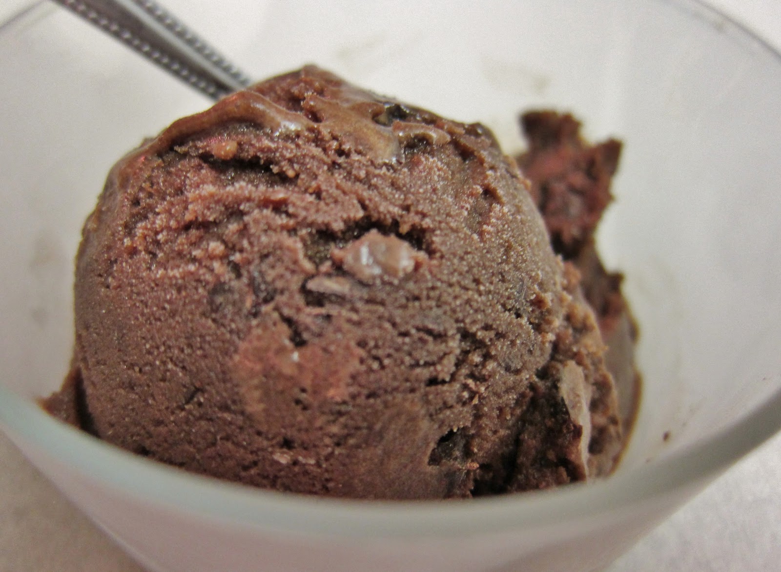 The Vegan Chronicle: Mocha Ice Cream