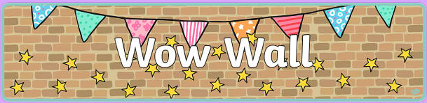 Alderwood Junior School: Year 4 Wow Wall Display