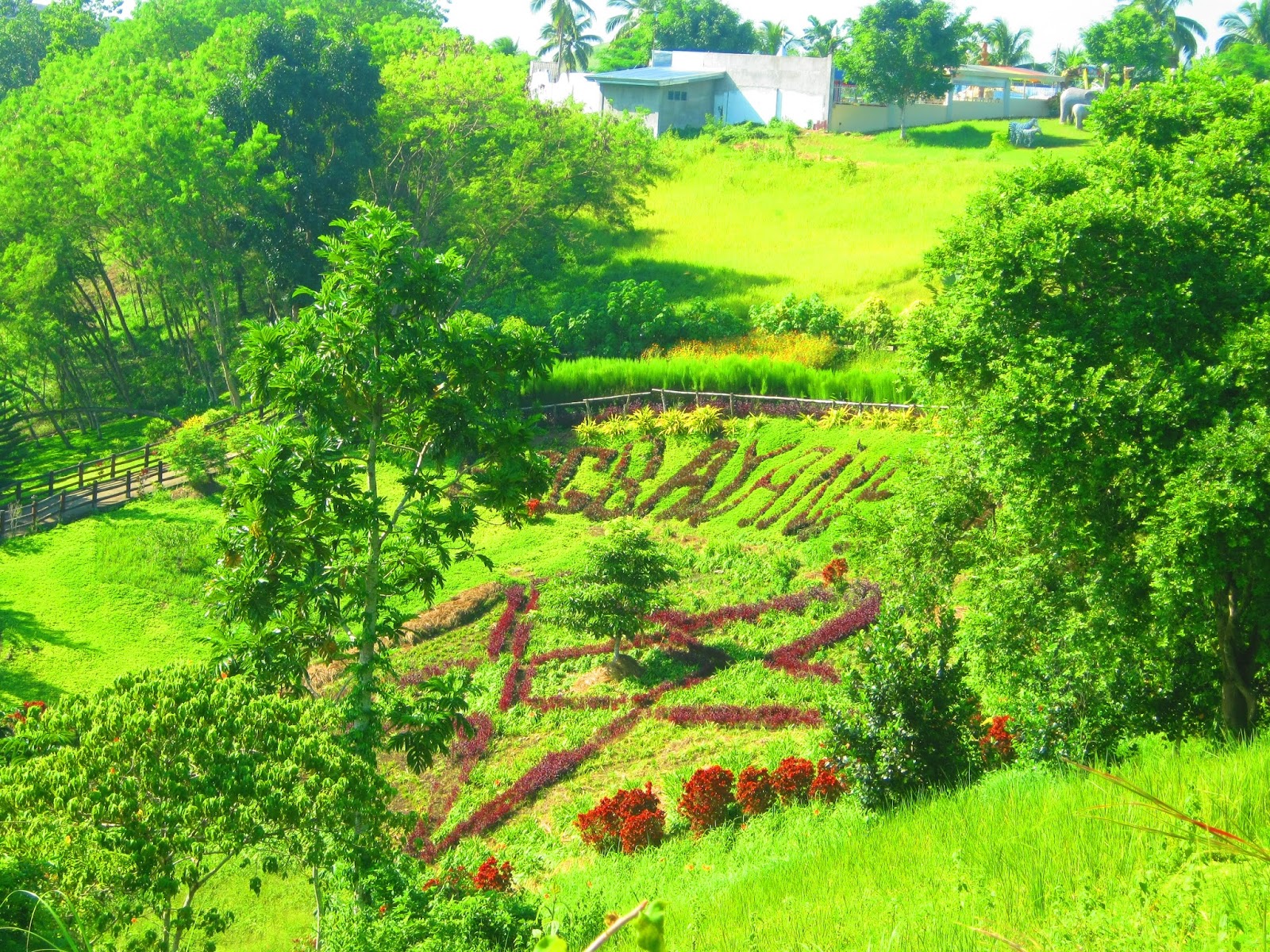 Day Tour Bohol Part 1: Tubigon Port, Sagbayan Peak and Chocolate Hills