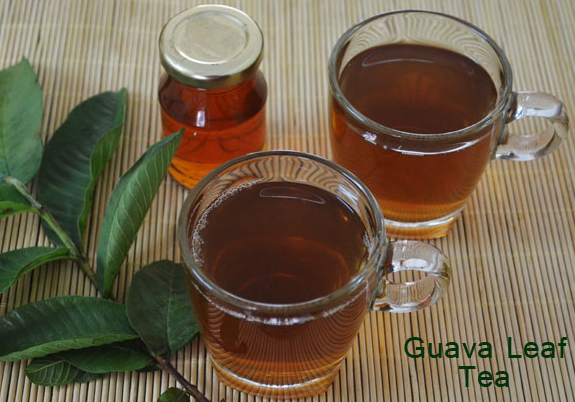 Health Benefits: Incredible Benefits of Guava Leaf Tea