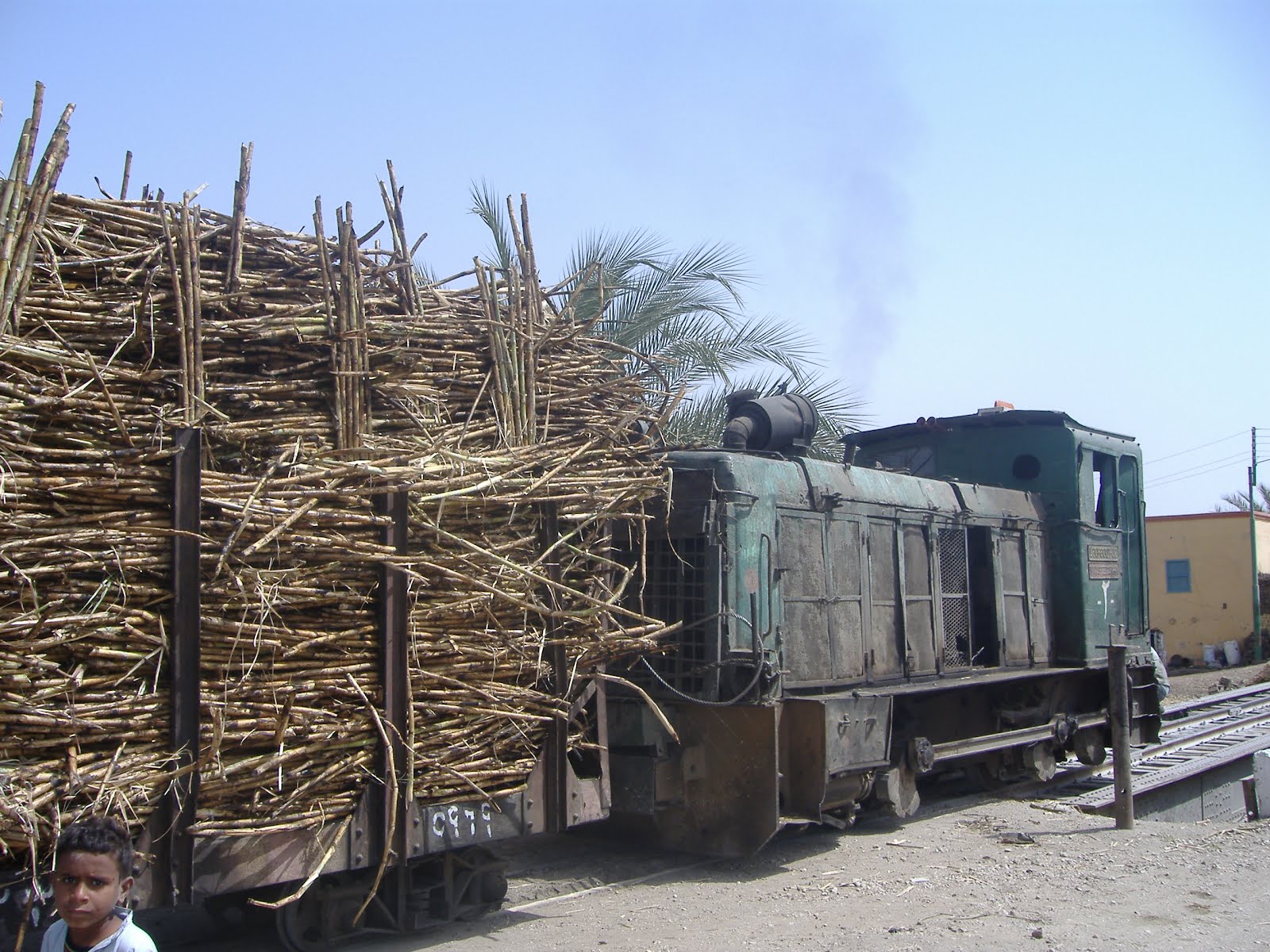 Luxor News - Jane Akshar: Narrow Gauge Railway in Luxor - The Sugar ...