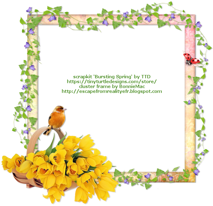 Escape From Reality Blog: FTU 'Bursting Spring' Cluster Frames TTD