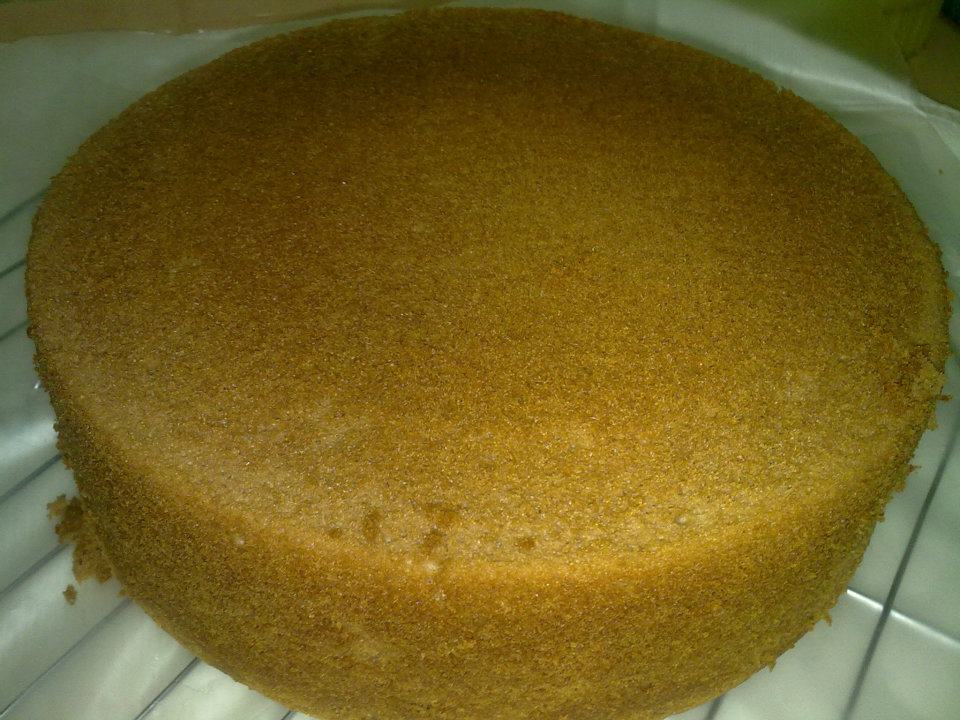 Dapur Chomey Aleen Aireish: CHOCO SPONGE CAKE