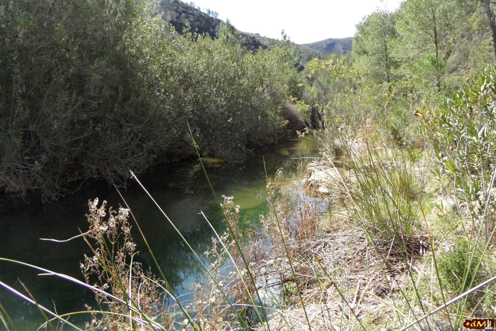2018 - 03 Tabarla y río Magro A+ 383 m / 12,34 km | Pa_Blog Senderismo ...
