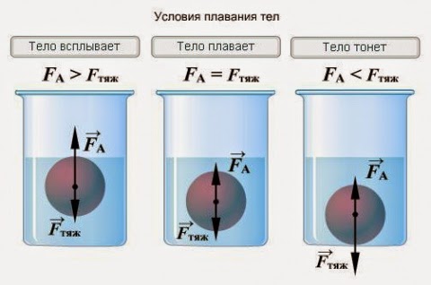 Arximed qanunu: Araşdırma