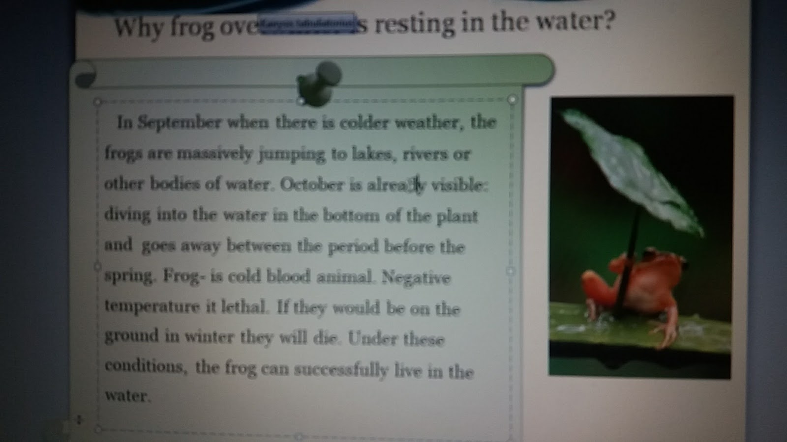 Lithuanians students working on the topic of Water