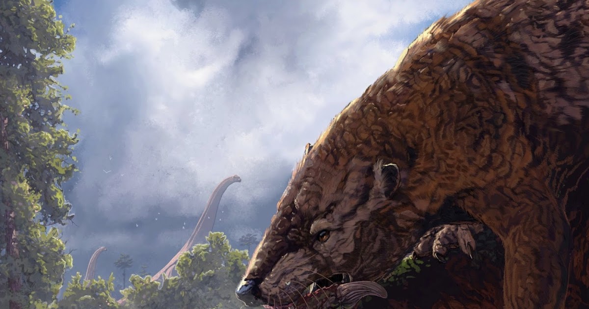 Species New to Science: [PaleoMammalogy • 2021] Mammaliaform ...