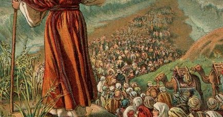 Estudio Biblia: ÉXODO