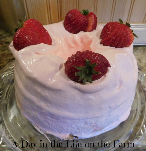 A Day in the Life on the Farm: Strawberry Jello Angel Food Cake # ...