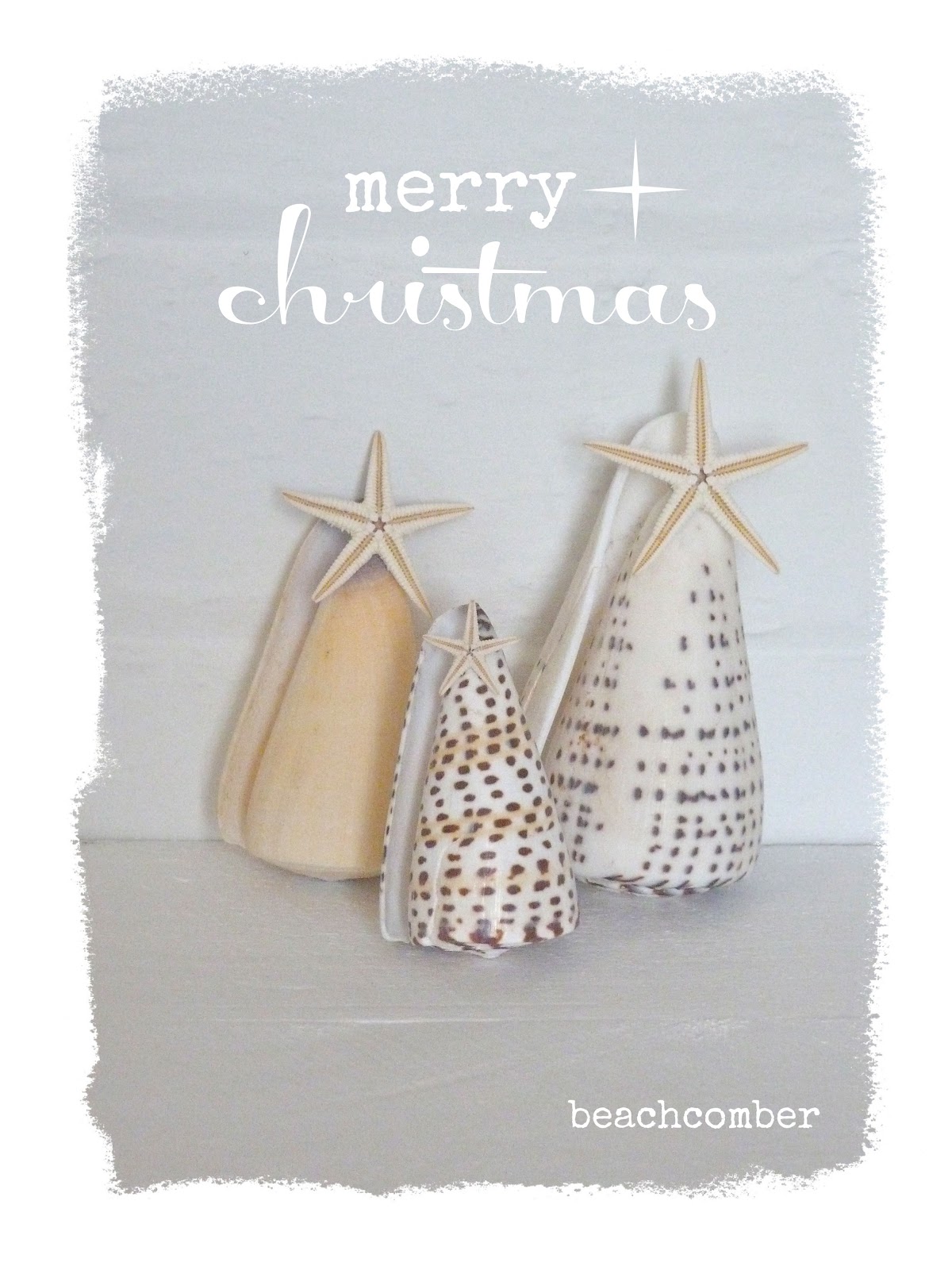 beachcomber: merry christmas