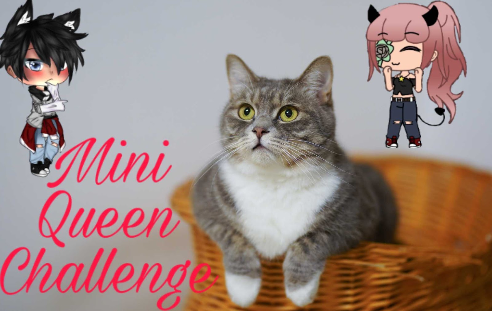 15 Best Mini Queen Challenges [Latest Edition] 2020 - Mini Militian Pro