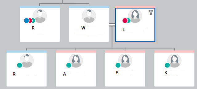 The Ultimate Family Historians: Getting more from Family Tree DNA ...