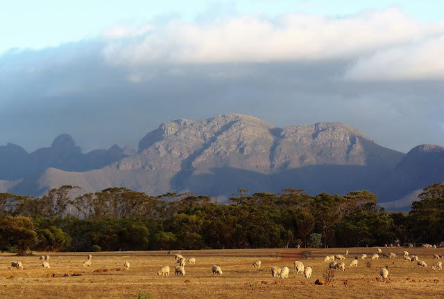 Goin' Feral One Day At A Time: Bluff Knoll Carpark to First Arrow ...