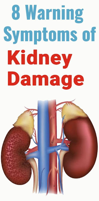 8 Warning Symptoms of Kidney Damage | Wellness Know
