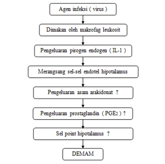 Kasus HIV/AIDS, [ kedokteran-diktrus ], | Pendidikan
